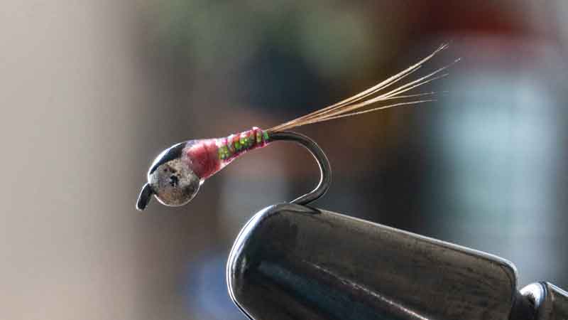 Absolute Guide to the Perdigon Nymph [Tie, Fish, Catch]