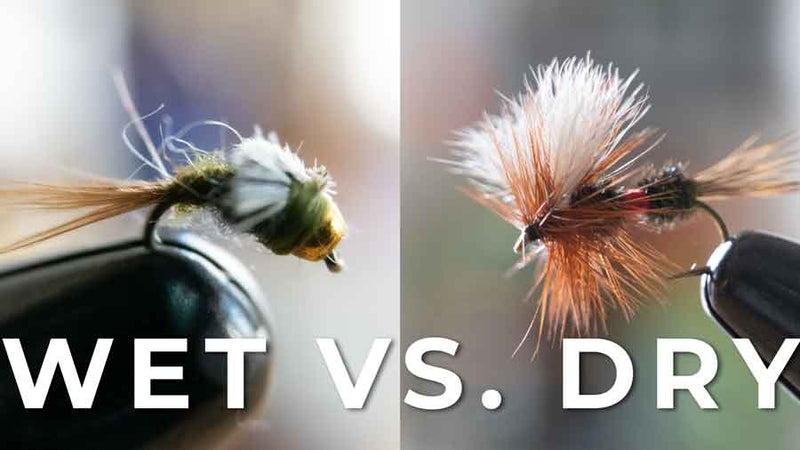 Wet Flies vs. Dry Flies: A Comprehensive Guide for Fly Fishing Enthusi